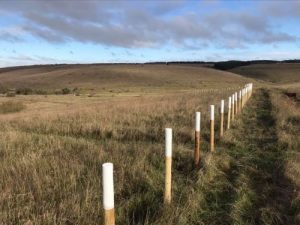 Commercial Fencing for demarcation and Marker Rails