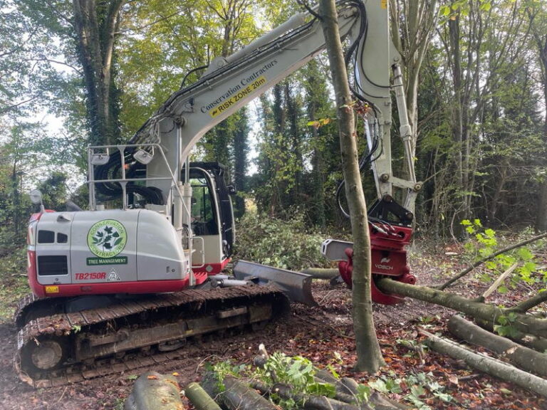 Vosch Grapple Saw is an ideal tool for dealing with Ash Die Back