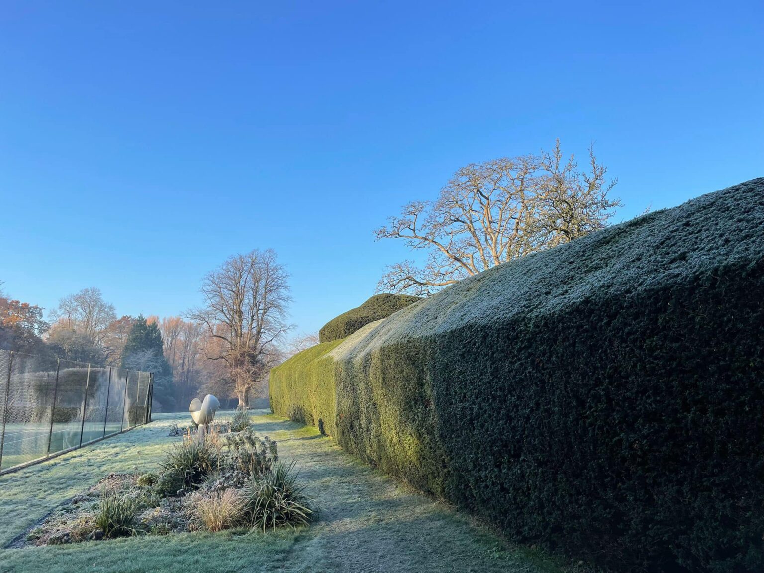 Annual hedge trim, Devizes - Conservation Contractors