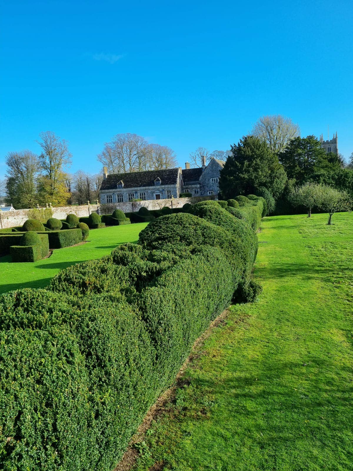 Hedge trimming box and yew at Avebury Manor - Conservation Contractors