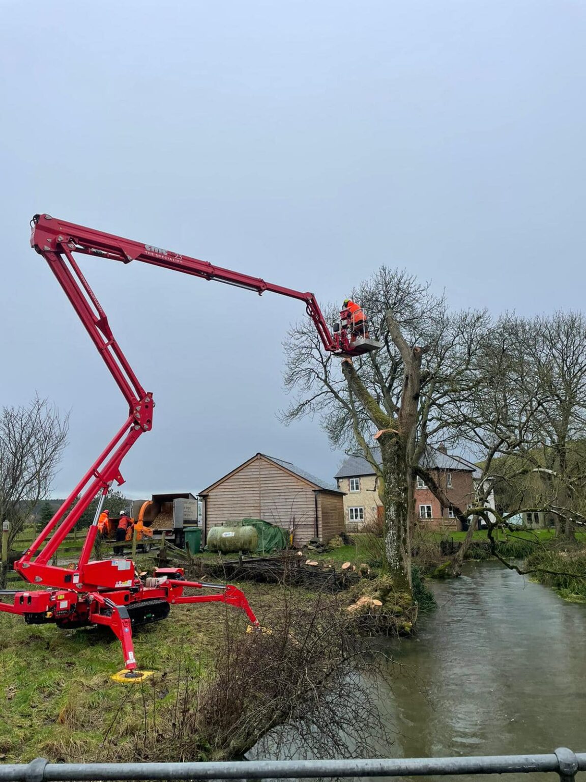 Our tracked MEWP – just the job for those hard-to-reach trees ...