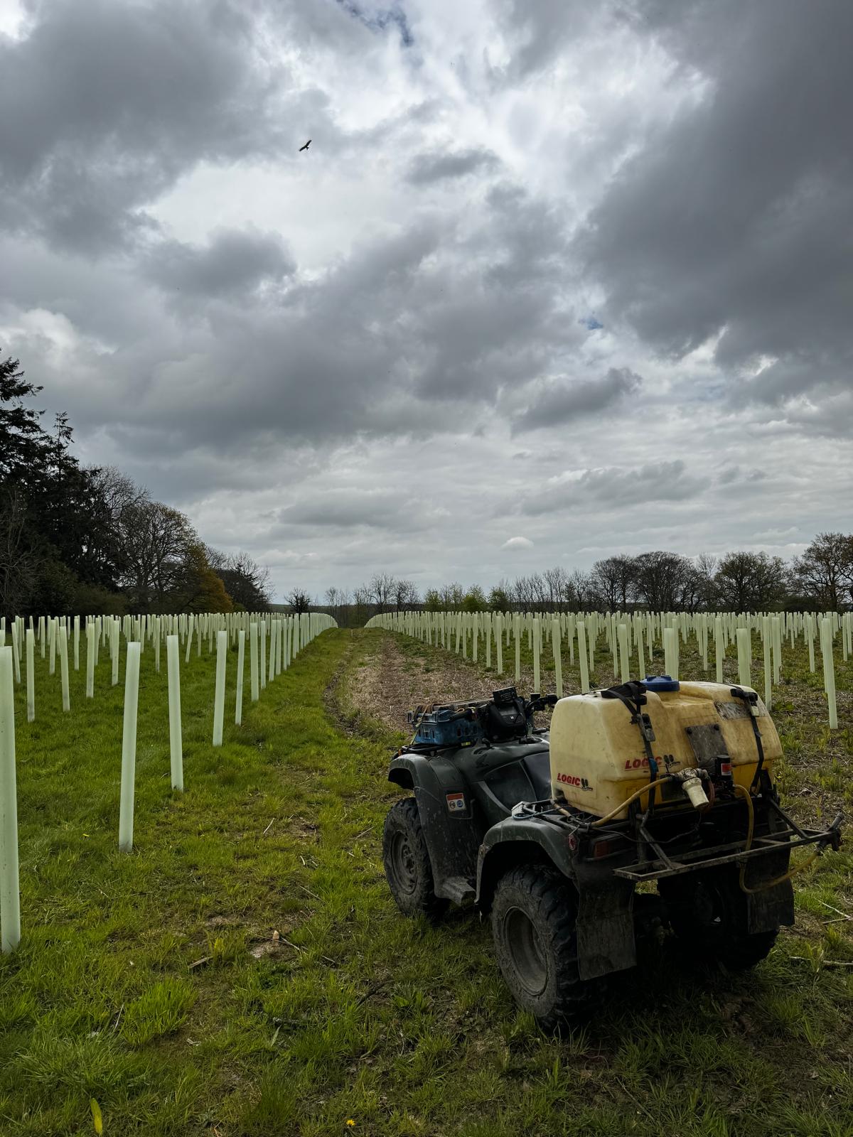 Spraying 100,000 newly planted trees across Wiltshire and Hampshire ...