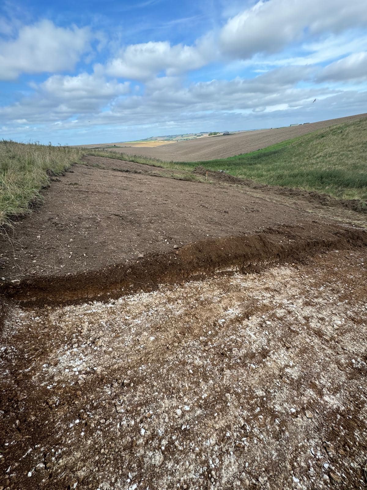 Conservation from the ground up - Conservation Contractors